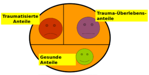 Trauma Arbeit - Axel Ehrenhöfer - Trauma & Körperarbeit